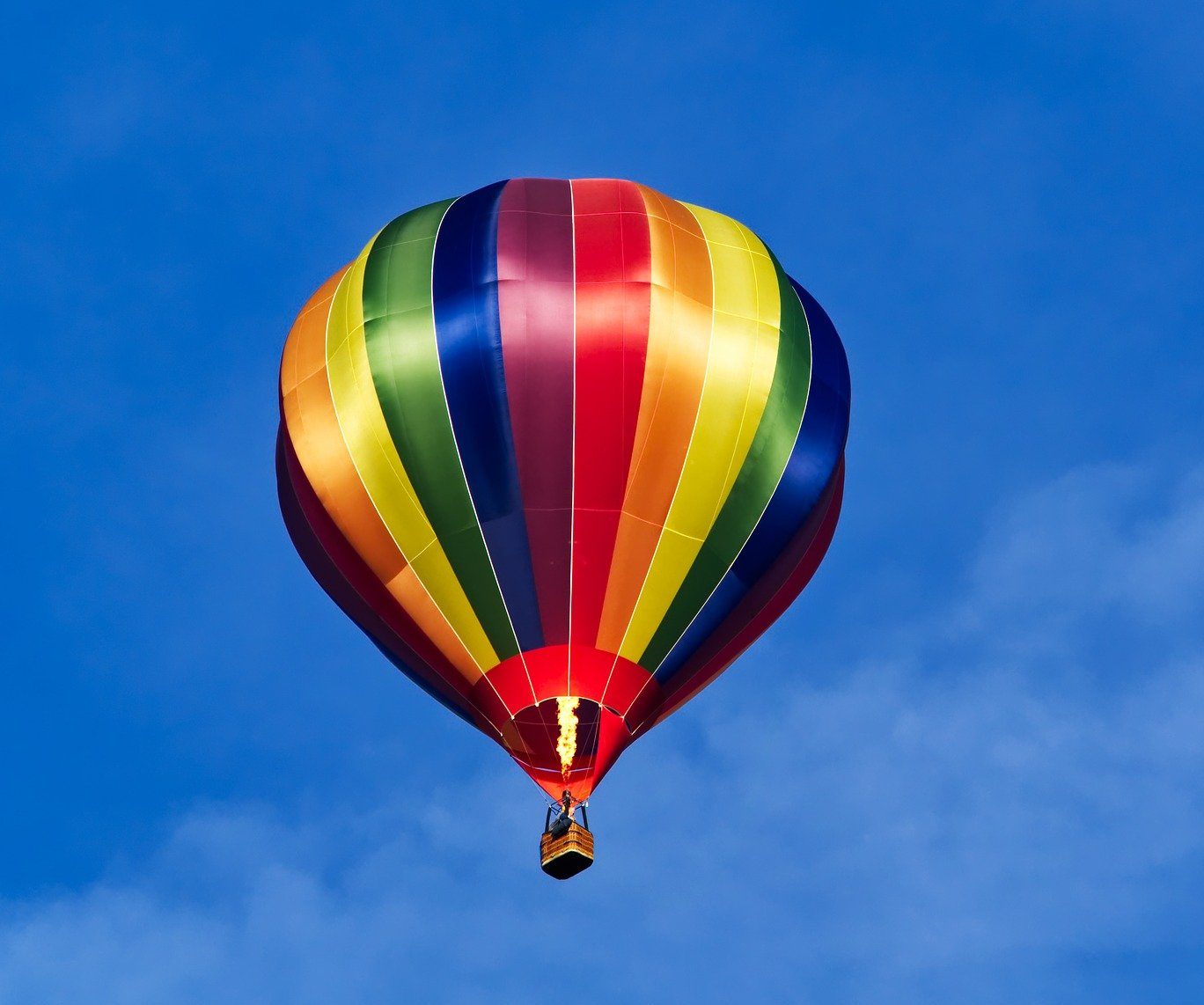 Laure Ray Coaching – accompagne votre envol
